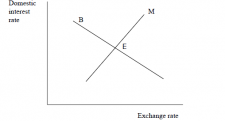 Exchange Rate Determination – International Business Operations