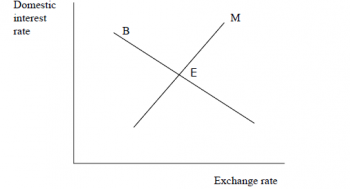 Exchange Rate Determination – International Business Operations