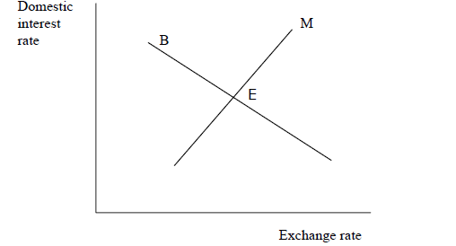 Exchange Rate Determination – International Business Operations
