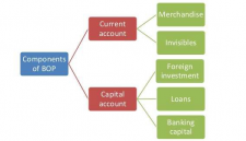 Balance of Trade and Balance of Payment – International Business Operations