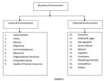 International Business Environment: Internal Environment ...