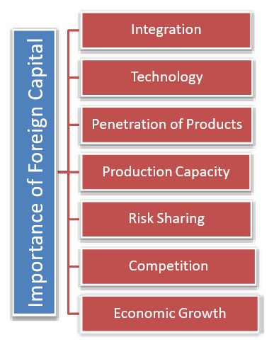Foreign Capital Flows – International Business Operations