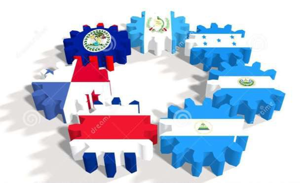 Economic Integration: RTA & FTA – International Business Operations