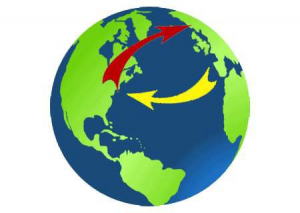 Economic Integration: RTA & FTA – International Business Operations