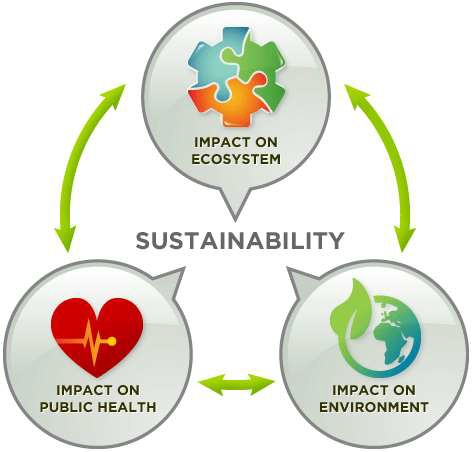 Corporate Social Responsibility: Issues in International Business ...