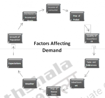 Demand and Demand Functions – Managerial Economics