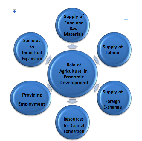 Agriculture and Economic Development – Business Environment