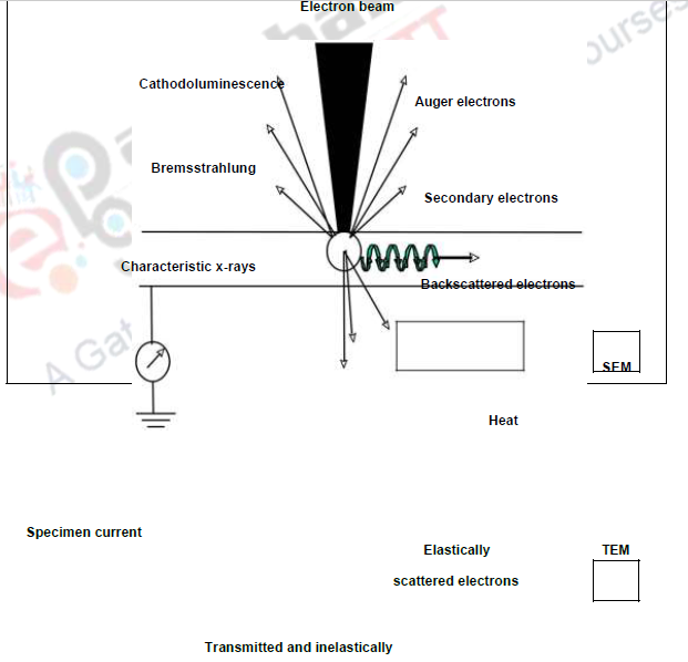 Electron Beam Interaction with Materials – Measurements and Instrumentation