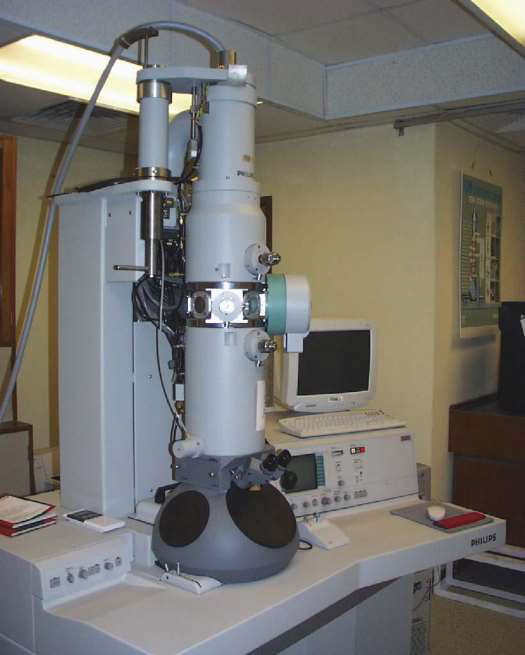 Instrumental Features of SEM and TEM – Measurements and Instrumentation