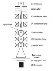 Instrumental Features of SEM and TEM – Measurements and Instrumentation