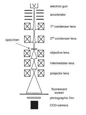 Instrumental Features of SEM and TEM – Measurements and Instrumentation