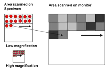 Instrumental Features of SEM and TEM – Measurements and Instrumentation