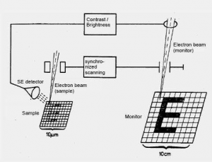 Instrumental Features of SEM and TEM – Measurements and Instrumentation