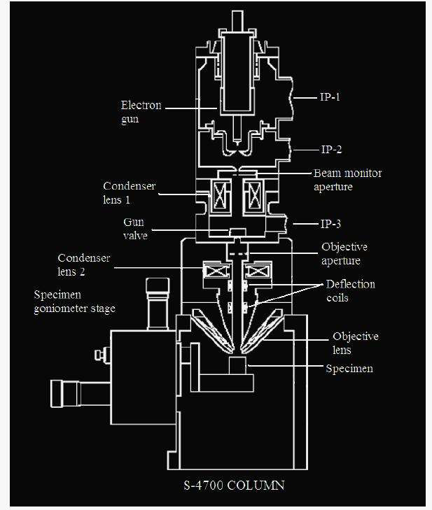 Instrumental Features of SEM and TEM – Measurements and Instrumentation
