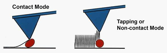Scanning Probe Microscopy – Measurements and Instrumentation