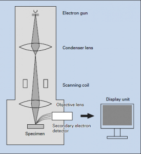 Scanning Electron Microscope – Nanoscience and Nanotechnology I