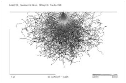 Scanning Electron Microscope – Nanoscience and Nanotechnology I