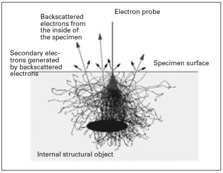 Scanning Electron Microscope – Nanoscience and Nanotechnology I