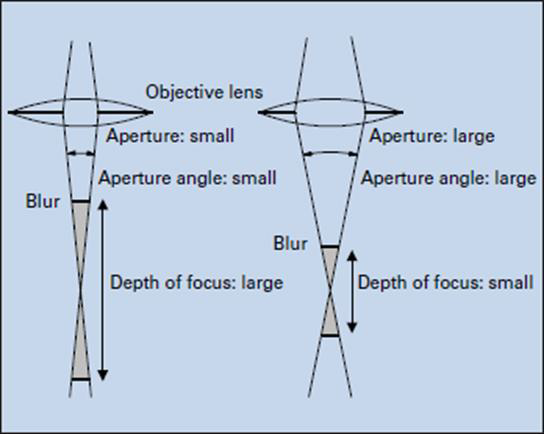 Scanning Electron Microscope – Nanoscience and Nanotechnology I