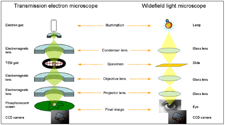 Transmission electron microscop – Nanoscience and Nanotechnology I