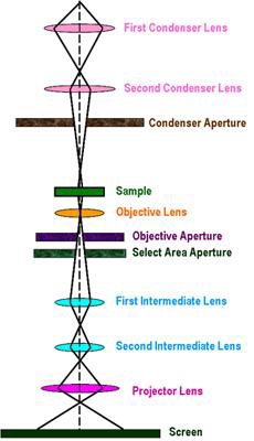 Transmission electron microscop – Nanoscience and Nanotechnology I