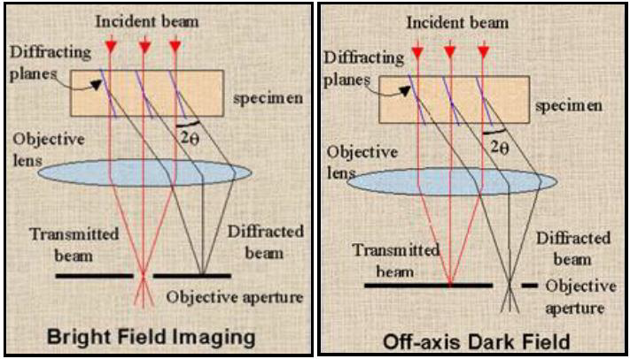 Transmission Electron Microscop Nanoscience And Nanotechnology I