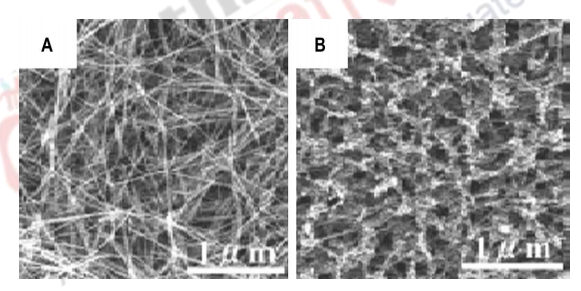 Synthesis and Purification of Carbon Nanotubes – Nanoscience and ...