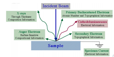 Scanning Electron Microscope (SEM) – Nanoscience and Nanotechnology II
