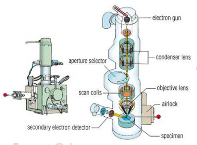 Scanning Electron Microscope (SEM) – Nanoscience and Nanotechnology II