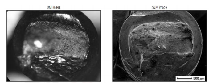 Scanning Electron Microscope (SEM) – Nanoscience and Nanotechnology II