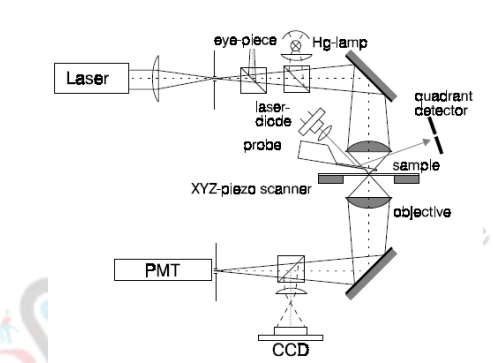 Near-field Scanning Optical Microscope (NSOM) – Nanoscience and Nanotechnology II