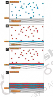 Chemical Vapor Deposition Process – Semiconductor material and devices