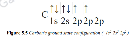 Hybridization in carbon based molecules – Physics at nanoscale I