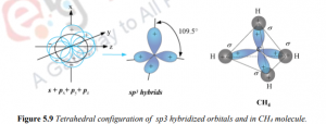 Hybridization in carbon based molecules – Physics at nanoscale I