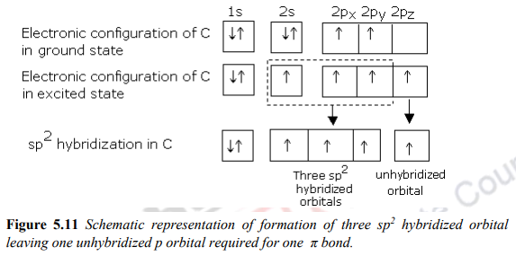 Hybridization in carbon based molecules – Physics at nanoscale I