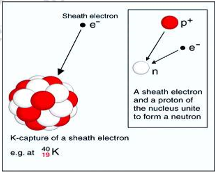Nuclear Models-3 – Nuclear and Particle Physics