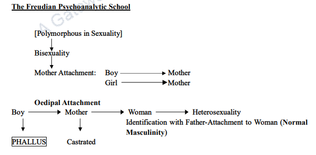 Femininities And Masculinities Sociology Of Genders