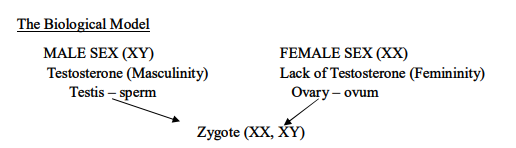Femininities And Masculinities Sociology Of Genders