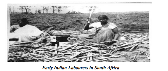 Colonial Period: Indenture, Kangani andMaistry systems – Sociology of ...